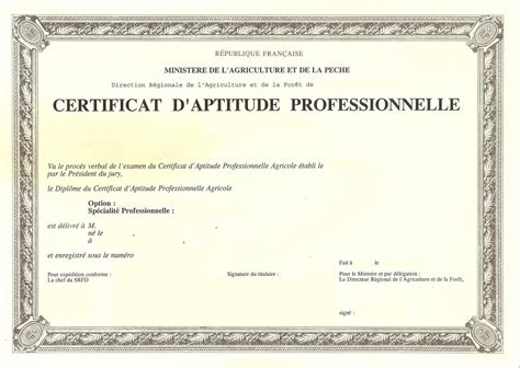 Certificat D Aptitude Professionnelle