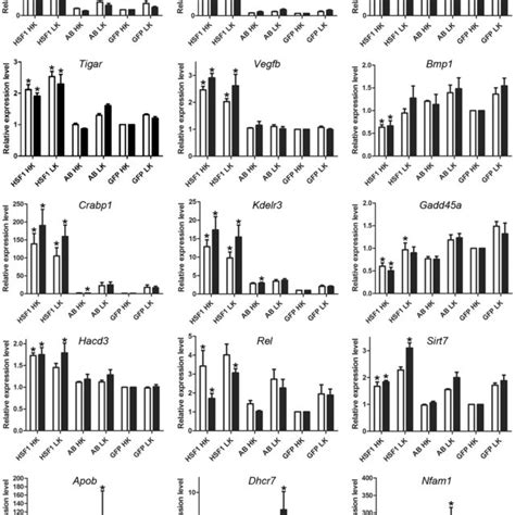 Validation Of RNA Seq Results Using QPCR Fifteen DEGs Including Bag3