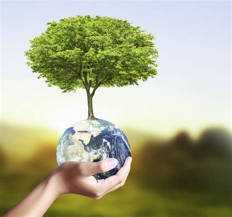 5 obligations à respecter pour l environnement Pleine vie