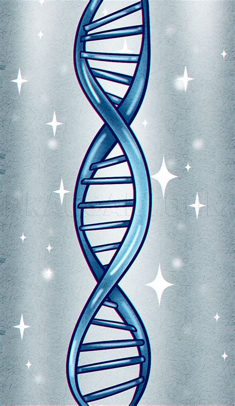 How To Draw Dna Chouette