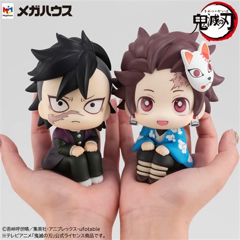 Demon Slayer Kimetsu No Yaiba Look Up TANJIRO KAMADO Final Selection