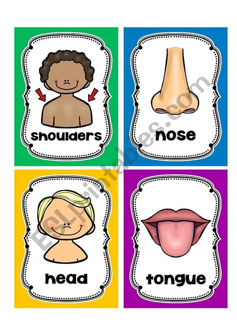 BODY PARTS FLASHCARDS ESL Worksheet By Blizh