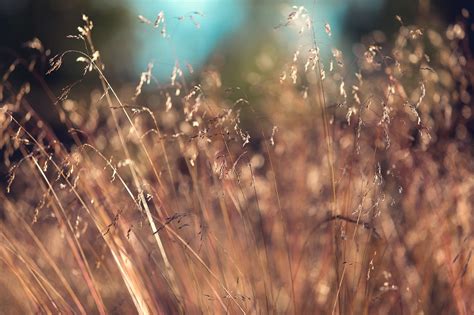 Pedesaan Tanah Pertanian Lapangan Foto Gratis Di Pixabay Pixabay
