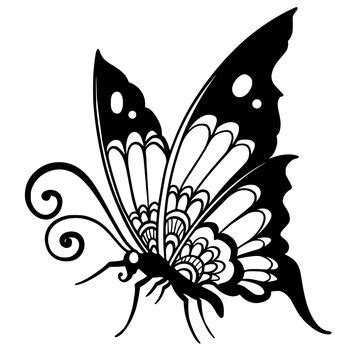 รปภาพ Butterfly Doodle เลอกดภาพถายสตอก เวกเตอร และวดโอ335