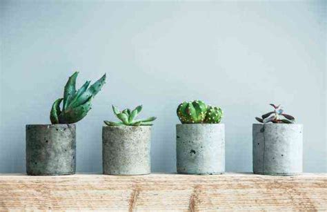5 ideas fantásticas para decorar macetas