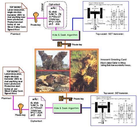 steganography the art of hiding data
