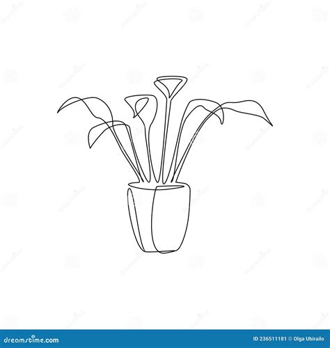 Houseplant In Pot Continuous One Line Vector Drawing Cartoondealer