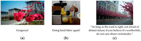 algorithms free full text visual and textual sentiment analysis of a microblog using deep