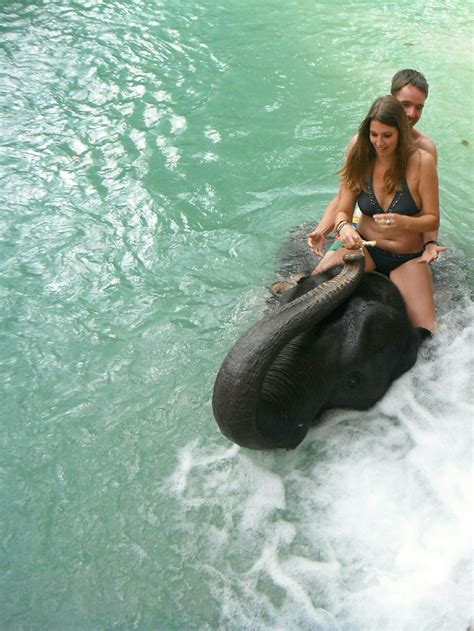 Pin Auf Elephants And Sexy Women In Bikini 2 Fun Travel