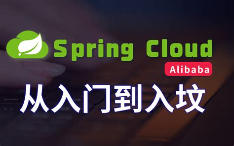 2021最新版spring cloud alibaba 从入门到入坟教程全集 哔哩哔哩 bilibili