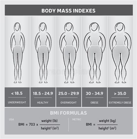 Grafico Grafico Del Diagramma Dell Indice Di Massa Corporea Con Le