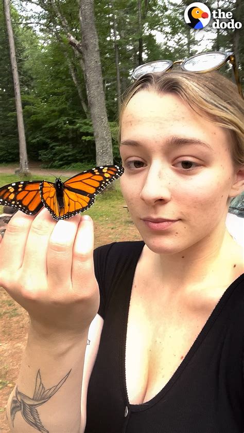 Girl Finds Monarch Butterfly Stuck In Her Cars Headlight Headlamp Girl Rescues A Monarch
