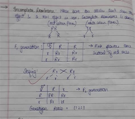 Draw Punnet Square For Incomplete Dominance Brainly In