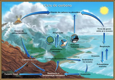 Ciclos biogeoquímicos saiba o que são e como eles influenciam a vida