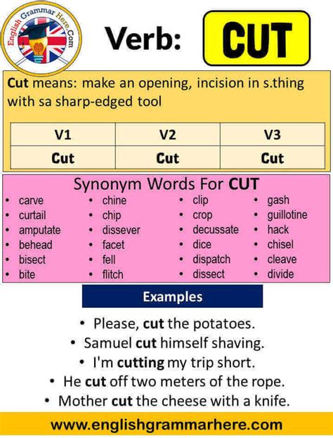 V1 V2 V3 Present Tense Past Tense Past Participle