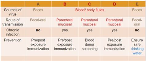 Viral Hepatitis Flashcards Quizlet