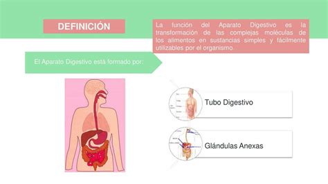 Farmacología del Aparato Digestivo Linda Milena León Gómez uDocz