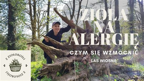 Zio A Na Alergie Jak Si Wzmocni Las Wiosn Youtube