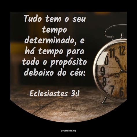 Tudo tem o seu tempo determinado e há tempo todo o propósito debaixo