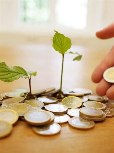 SNFF11 Anuncia Novo Pagamento De Dividendos Veja O Valor