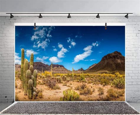 Amazon Leyiyi 7x5ft Photography Background Mexico Cactus Backdrop