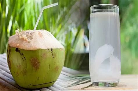 Coconut Water Benefits Drinking Coconut Water In Summer Gives Amazing