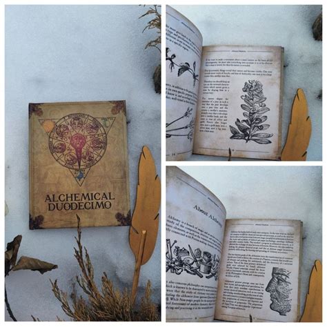 Books Set APM One Thousand Magical Herbs And Fungi History Of Etsy