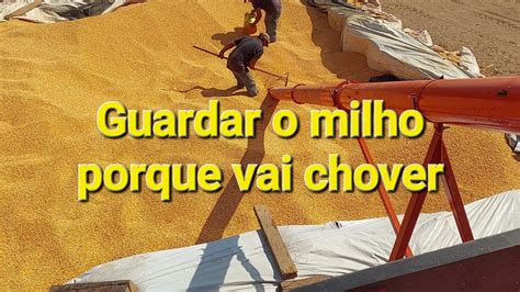 Guardando O Milho No Silo Youtube