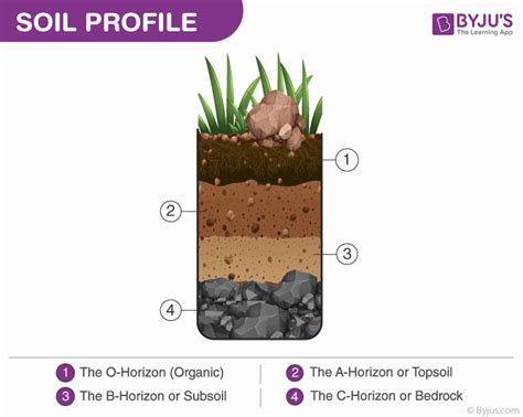 Label Soil Profile Diagram