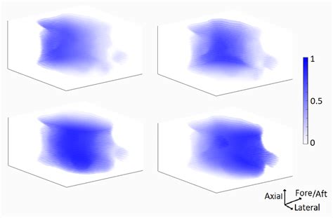 the 3d sensitivity field maps of the four coil groups calculated for download scientific