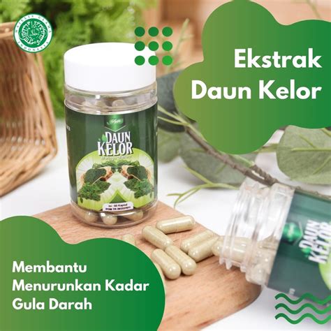 Jual Kapsul Extrak Daun Kelor Berkualitas 100 Asli Ekstrak Moringa