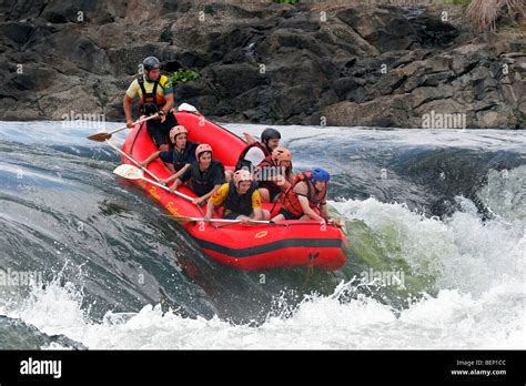 Tourists White Water Rafting On The White Nile Victoria Nile Uganda