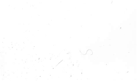 Retro Film Grain With Dust Texture 25254269 PNG