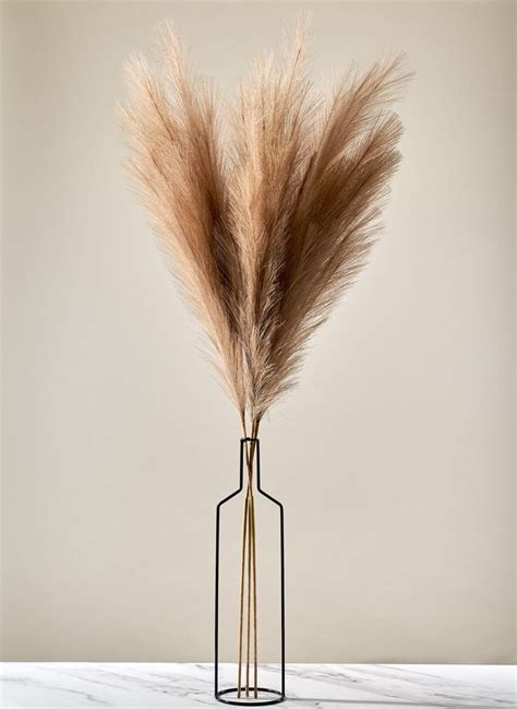 Tall Faux Pampas Grass Natural 3 Stems Pampas Gras Natuurlijk