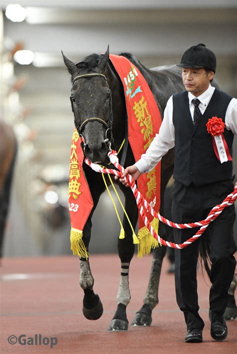 週刊GallopWeekly Gallop on Twitter 新潟11R 新潟大賞典 は5番人気 カラテ が優勝 荒れた馬場