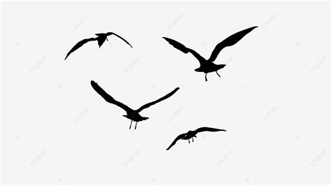 Vogelschwarm Silhouetten Fliegende Vögel Clipart Vögel Silhouette
