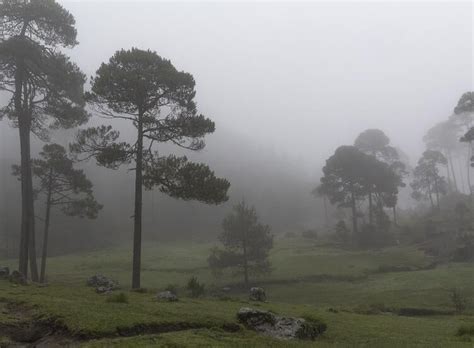 Frente Fria E Massa Polar Como O Tempo Vai Mudar Esta Semana Climatempo
