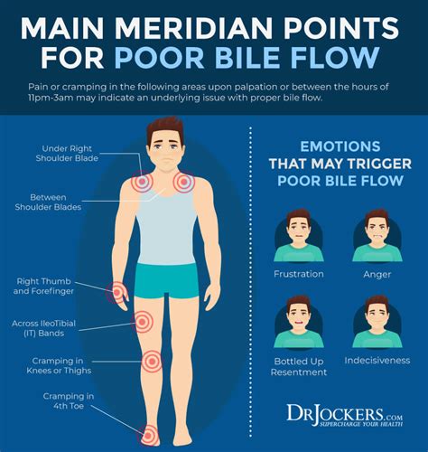 22 Symptoms Of GallBladder Disease DrJockers