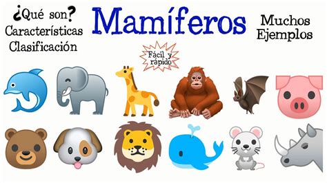 Qué son los mamíferos Fácil y Rápido BIOLOGÍA YouTube
