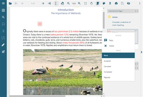 programmatically use comments on pdf with a javascript pdf viewer document solutions