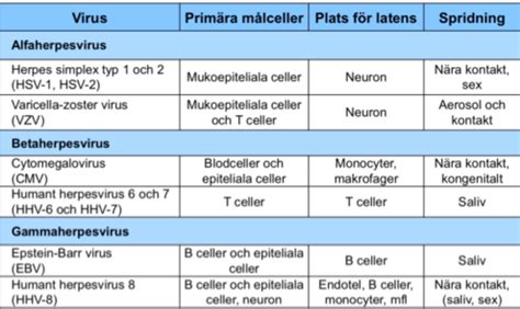 Herpes Simplex Flashcards Quizlet