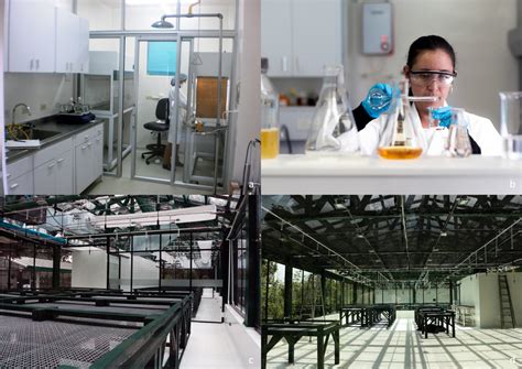 Modernización de las instalaciones de investigación a Laboratorio de