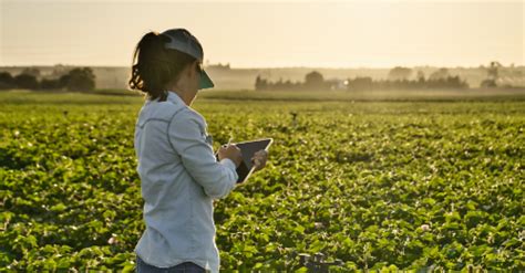 Diferenças entre Técnico em Agricultura e Agronegócio