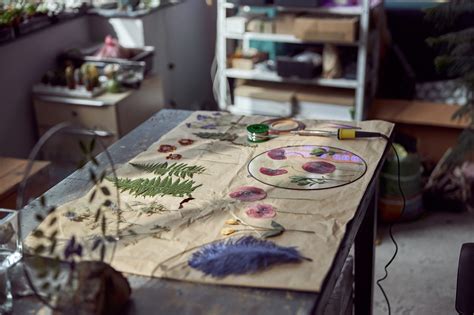 Como Secar Flores Con Todos Los Trucos