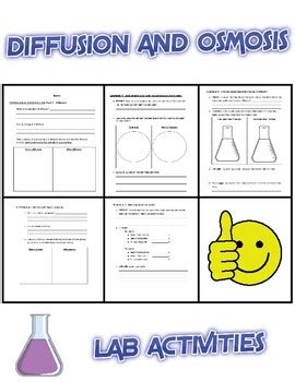 Diffusion And Osmosis Lab Activities By J Mack TPT