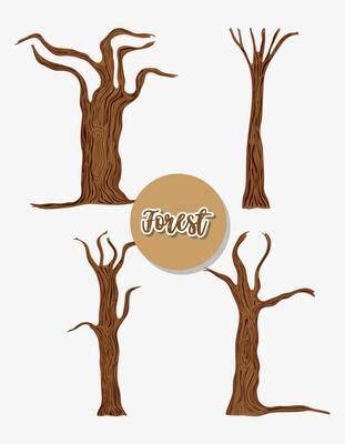 Arbol Sin Hojas Vectores Iconos Gráficos y Fondos para Descargar Gratis