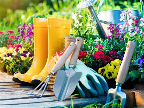 Les Outils Indispensables Pour Entretenir Votre Jardin Info Jardinage