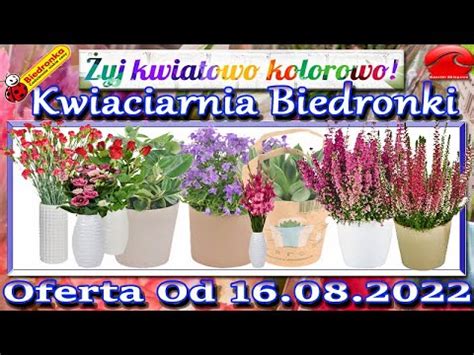 Biedronka Kwiatowe Inspiracje Biedronki Nowa Oferta Od