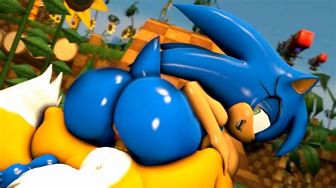 Rule 34 XYZ Sonic Series Sonic The Hedgehog Series Sonic The