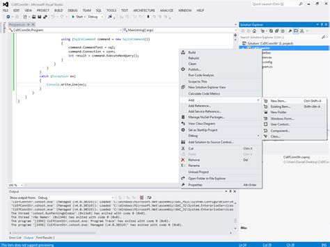 Setting Connection Strings At Runtime With Entity Framework 50 Database First Vs2012 Gigi Labs